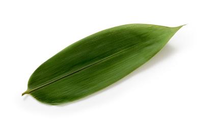 What Can Bamboo Do For Your Skin? | Ingredients Skincare Benefits ...